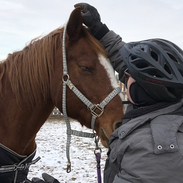 Personal Development & Support Programs - Emerge Equine Assisted Learning and Personal Development